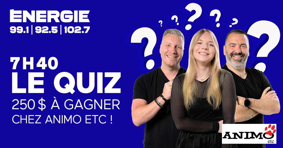 7H40 LE QUIZ - Animo etc